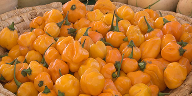 Health.com: Sweet bell peppers are Arizona's best summer food