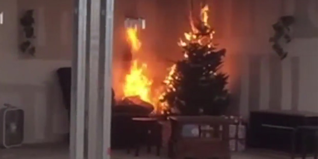 Phoenix fire departments warn of Christmas tree fire danger
