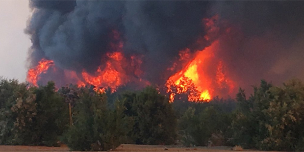 Large wildfire burning on Arizona-California border