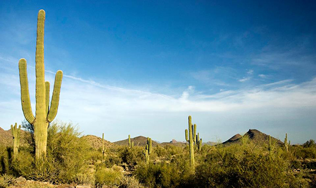 Phoenix ties record for hottest day on Thanksgiving