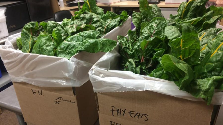 Local First Arizona's Feed Phoenix initiative extended into 2022