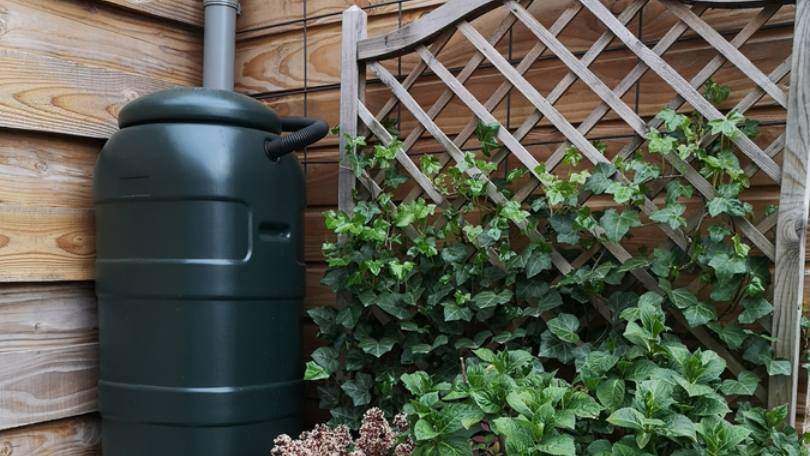 Simple ways to reduce, reuse and recycle water - KTAR.com
