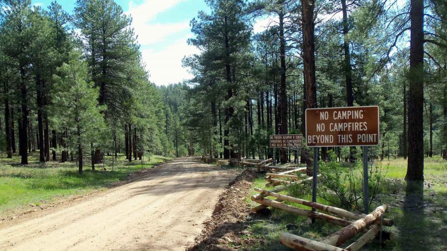 Parts of 2 Arizona national forests closing due of extreme wildfire danger