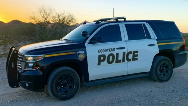 Goodyear stepfather and daughter dead in apparent murder-suicide