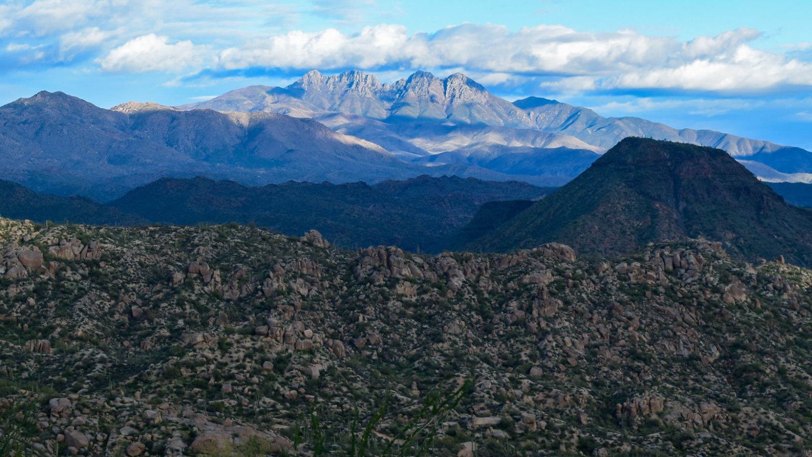 Tonto National Forest latest in Arizona to roll back all fire restrictions