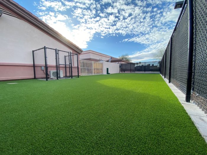 New Life dog park - KTAR.com