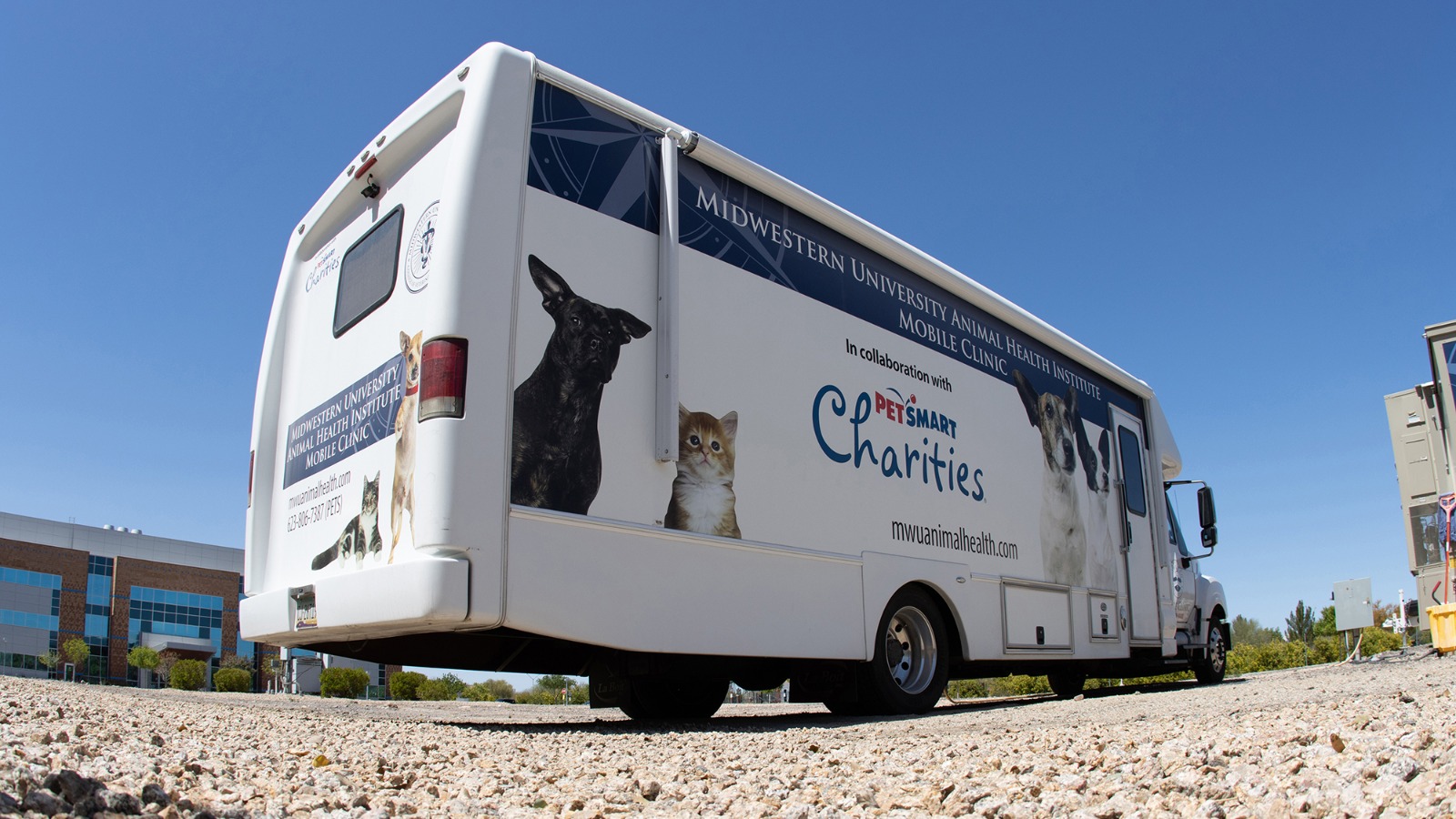 Arizona’s veterinary medicine grads aid shortfall of vets in nation, state