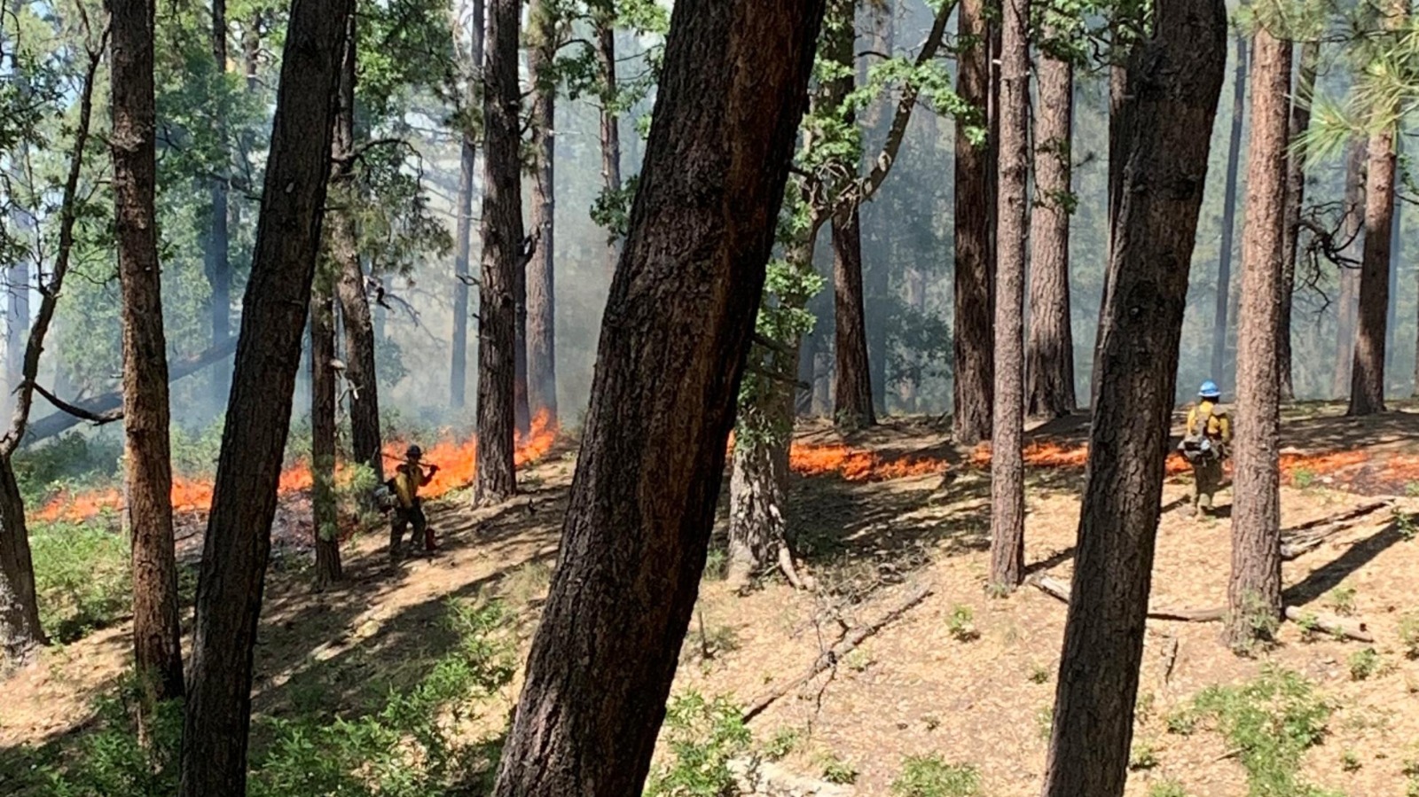 Arizona seeing less acreage burned from wildfires this year