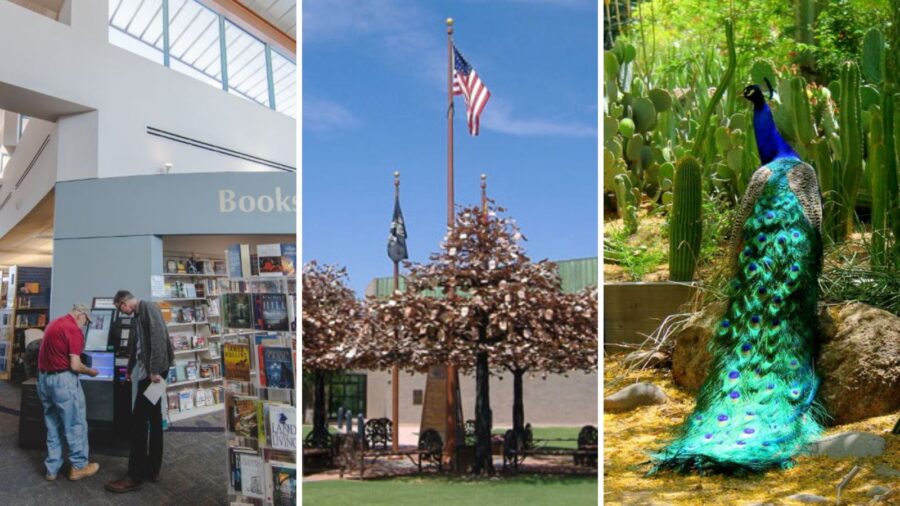 Glendale Public Library eliminates overdue fines