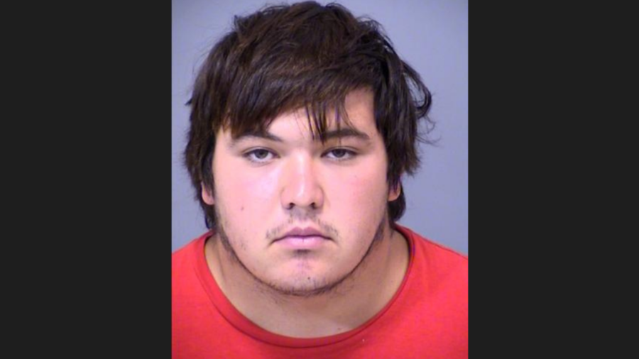 Man arrested for alleged bestiality incidents involving horse