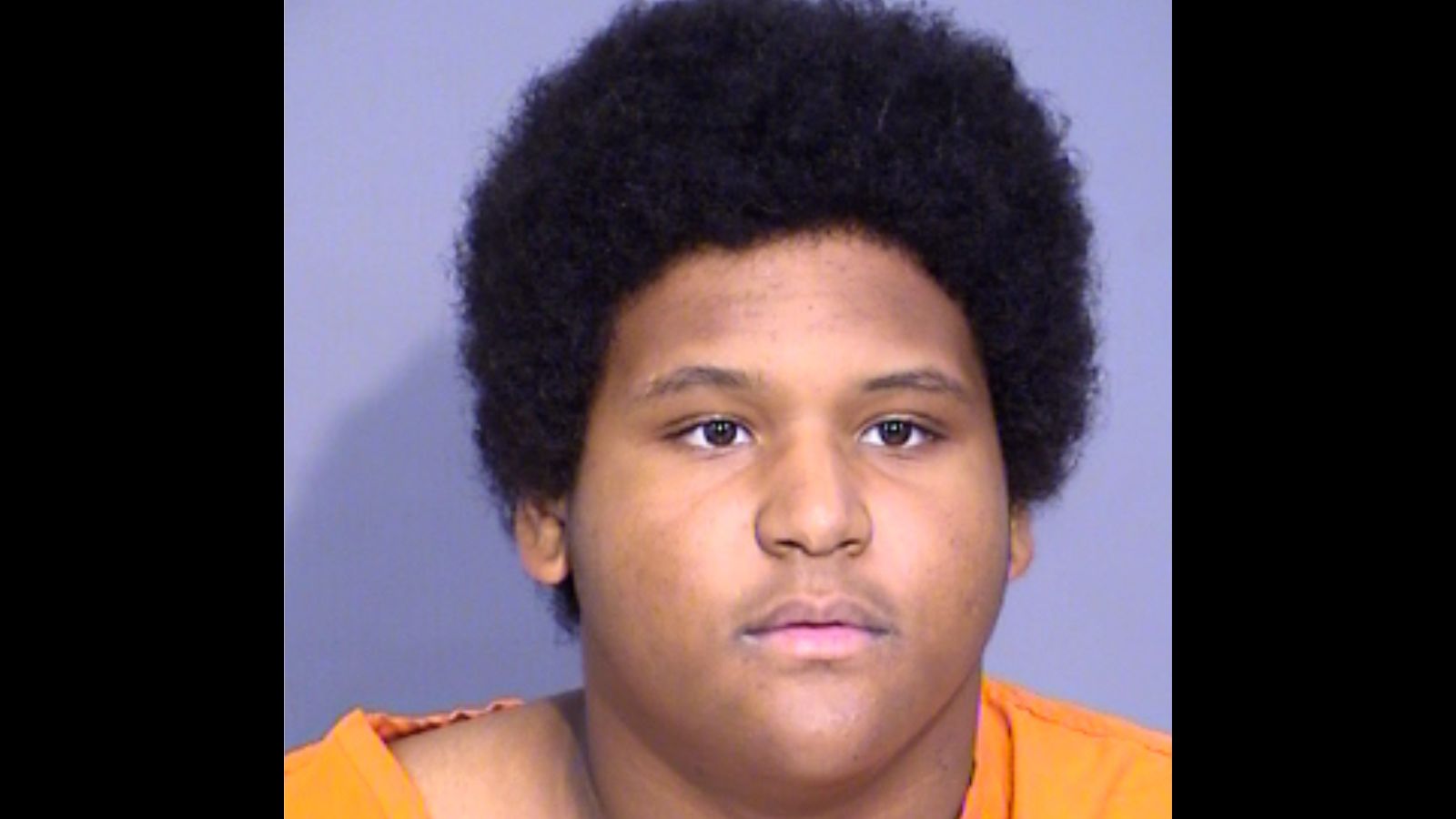 Phoenix man charged with homicide, accused of killing stepfather