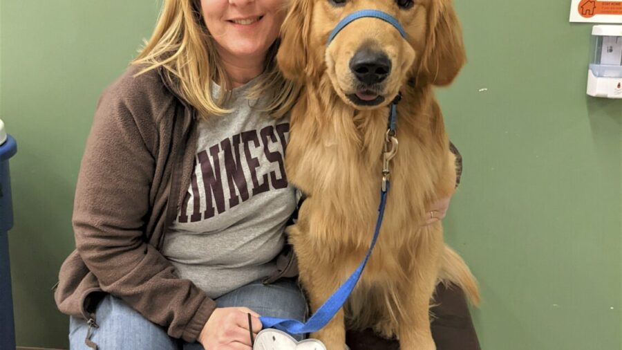 A slain Minnesota lawmaker's beloved dog, Gilbert, stays with her as ...