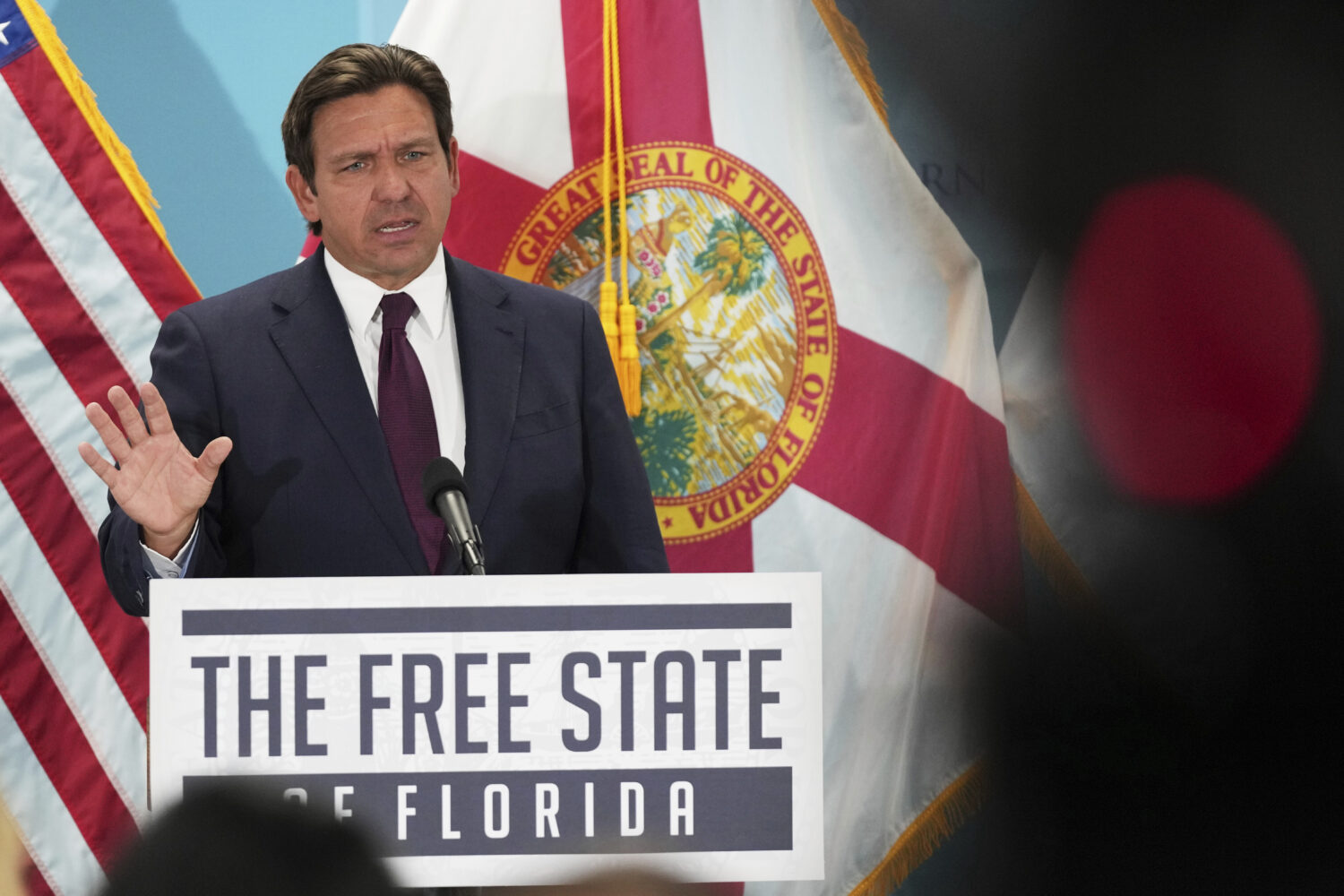 Another DeSantis ally takes the helm of a public university in Florida ...